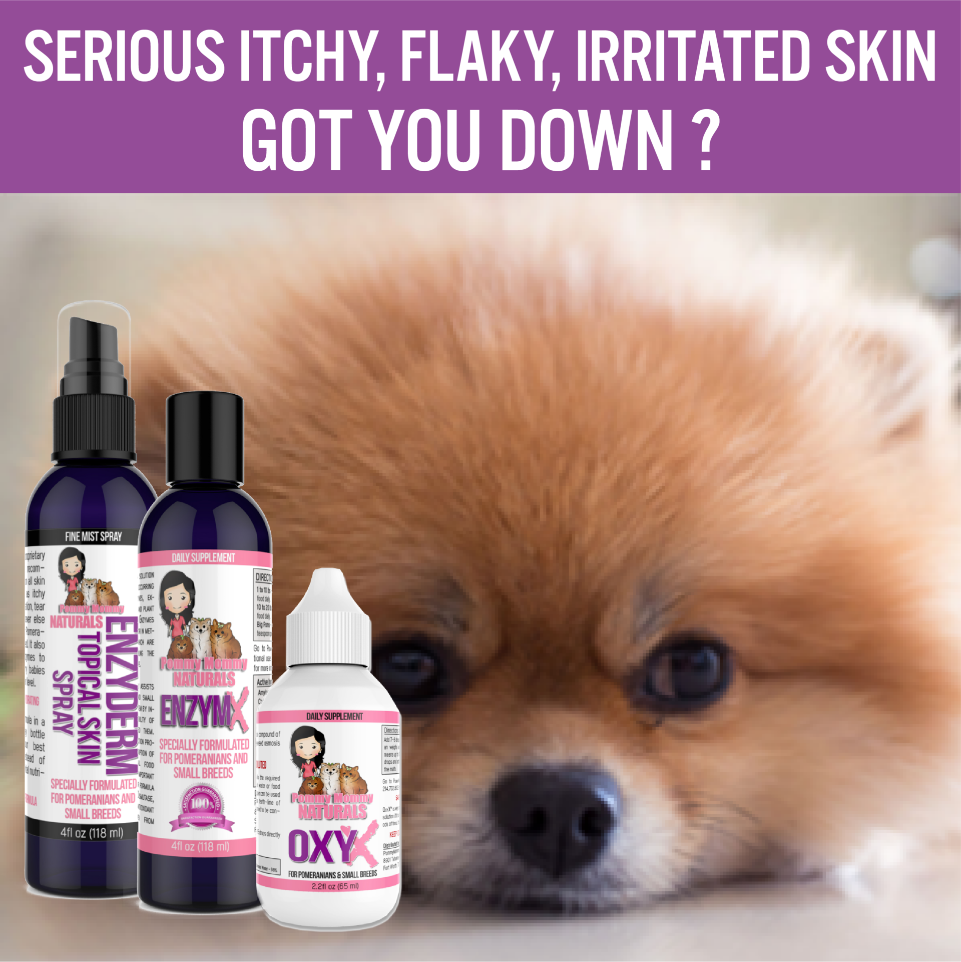 Pomeranian SkinPro Pack